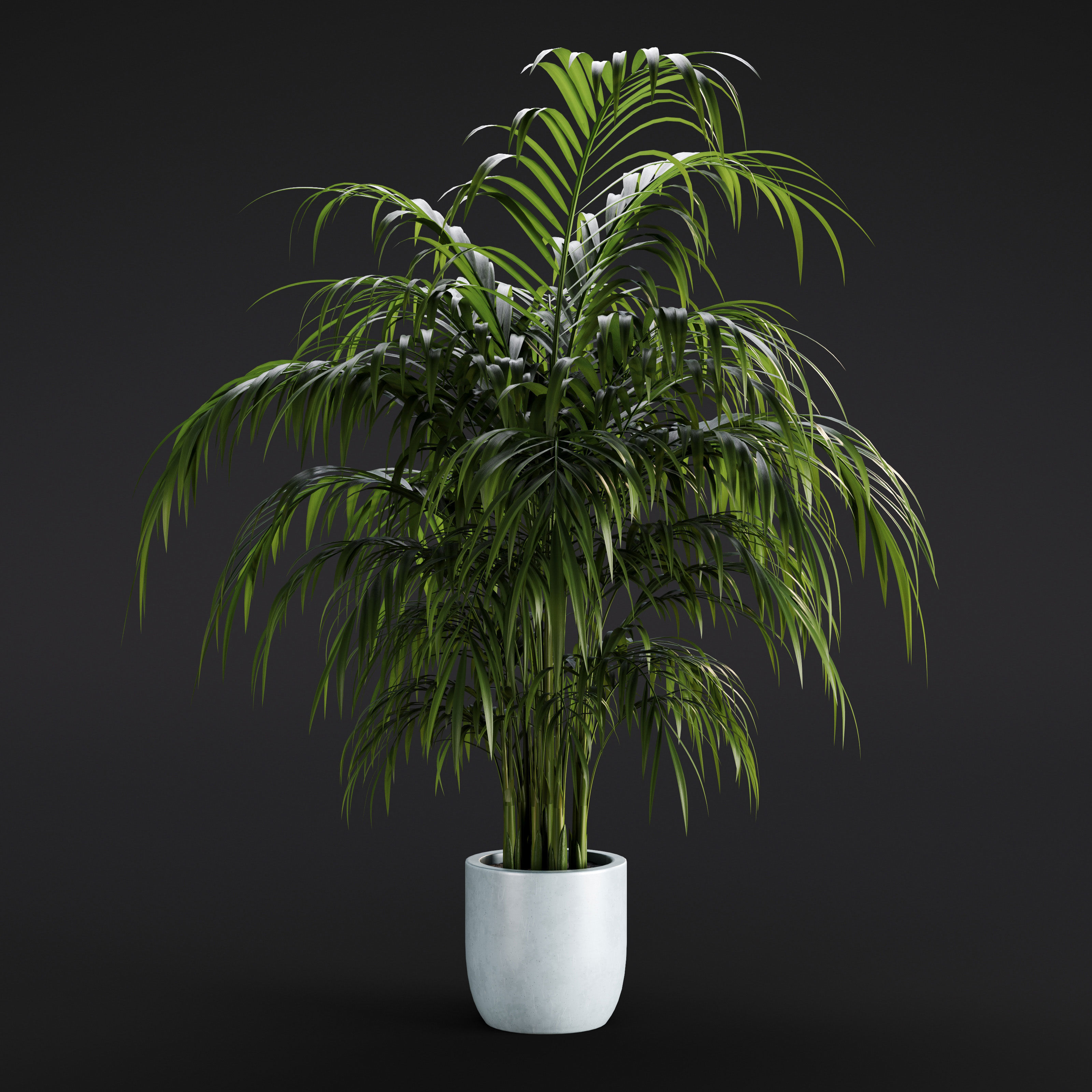 Archmodels vol 282 - collection of pot plants 3D model | CGTrader