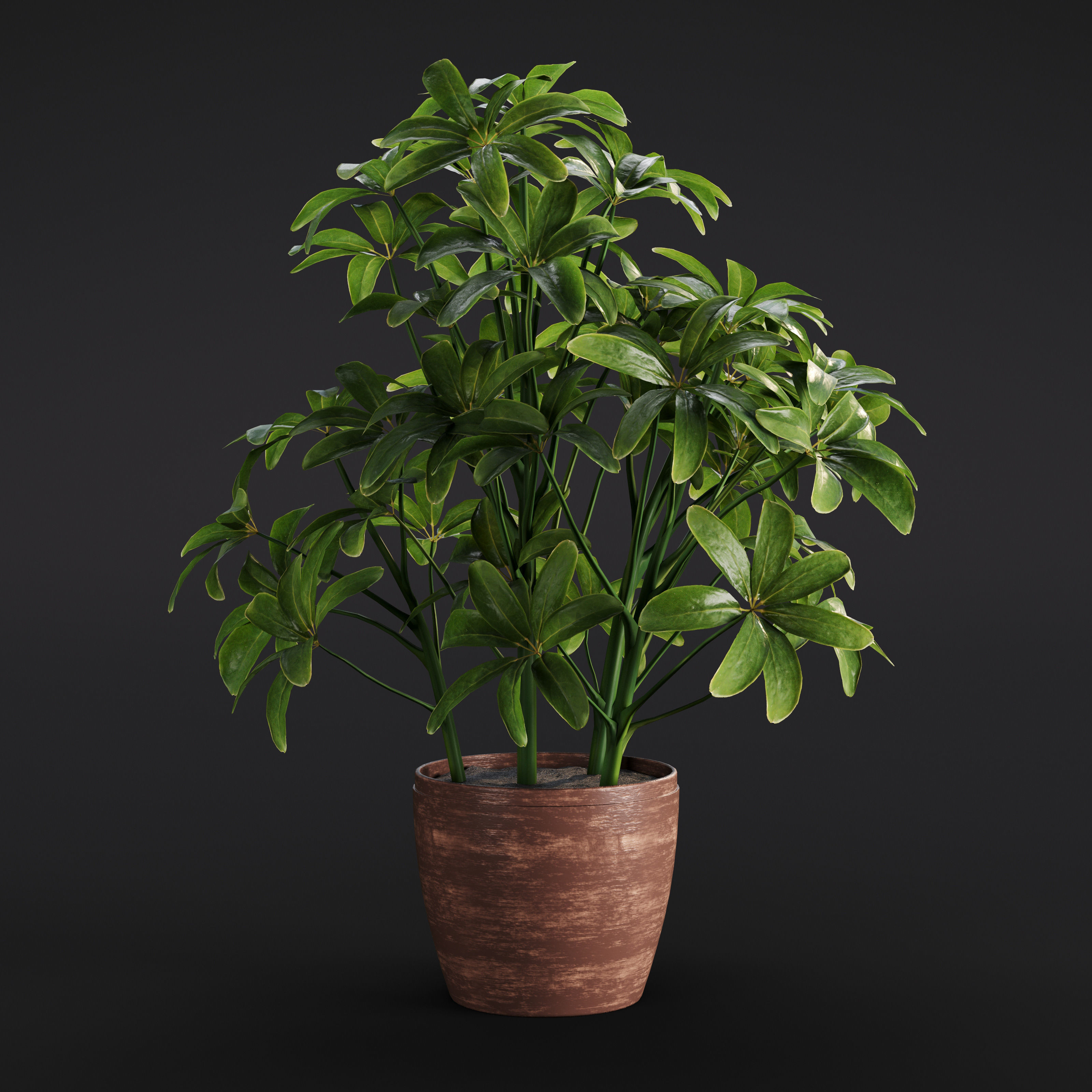 Archmodels vol 282 - collection of pot plants 3D model | CGTrader