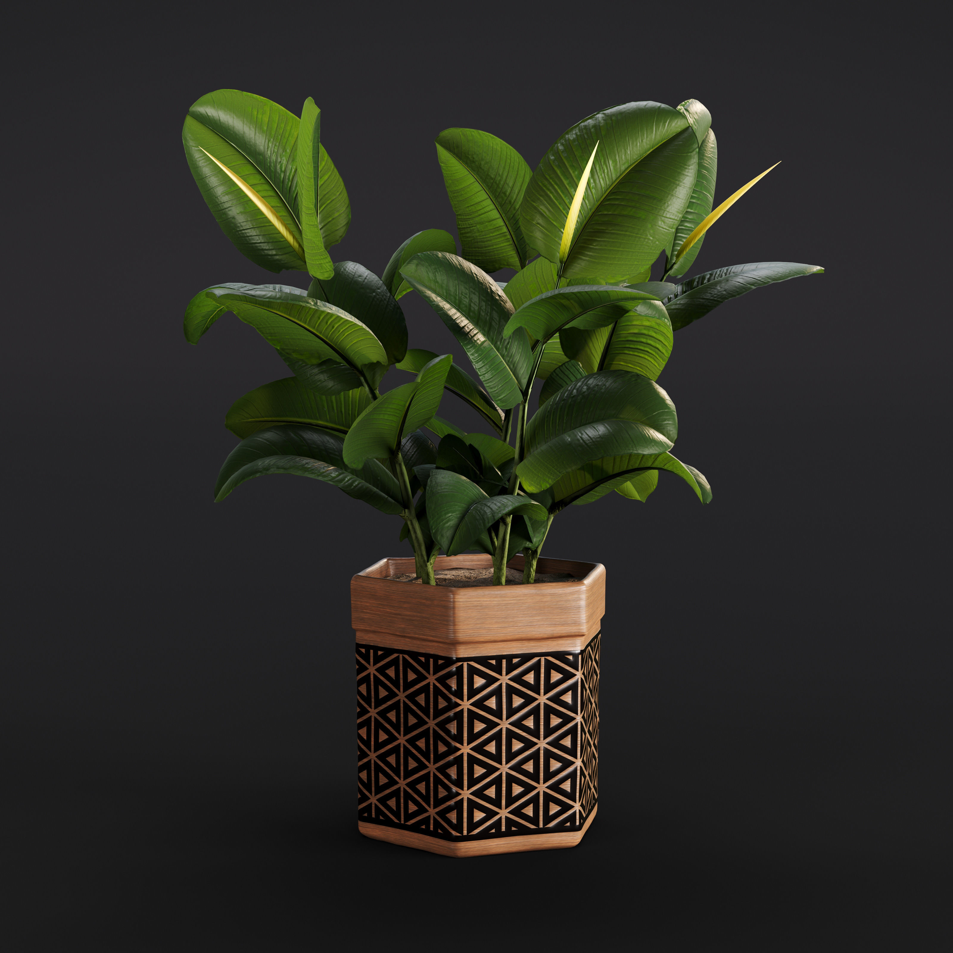 Archmodels vol 282 - collection of pot plants 3D model | CGTrader
