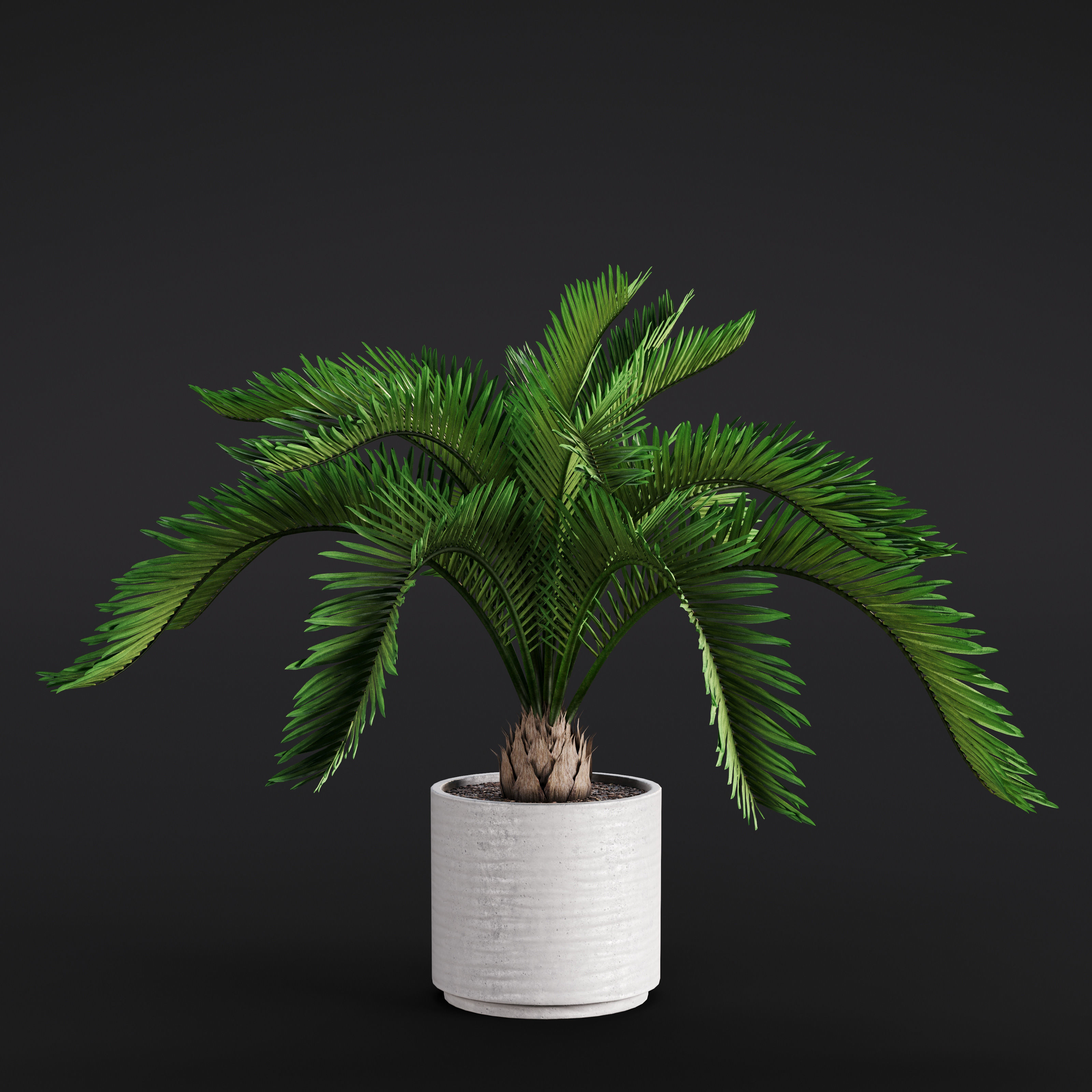 Archmodels vol 282 - collection of pot plants 3D model | CGTrader