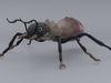 demon ant free VR / AR / low-poly 3D model animated rigged | CGTrader