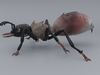 demon ant free VR / AR / low-poly 3D model animated rigged | CGTrader