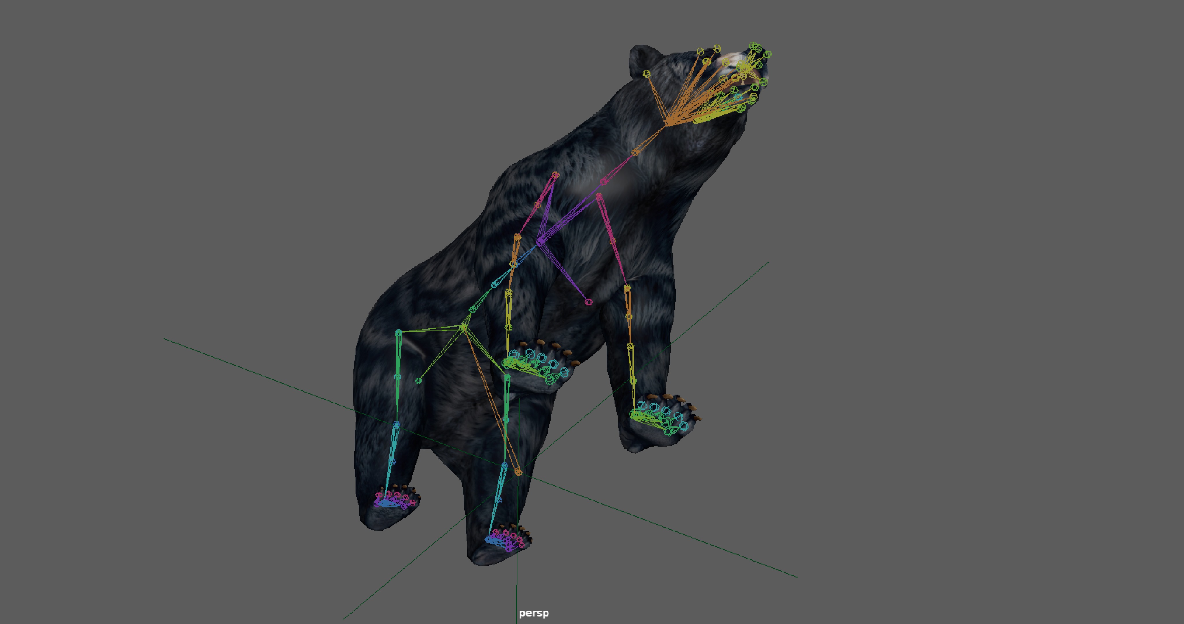 Black Bear Rig 3D model rigged | CGTrader