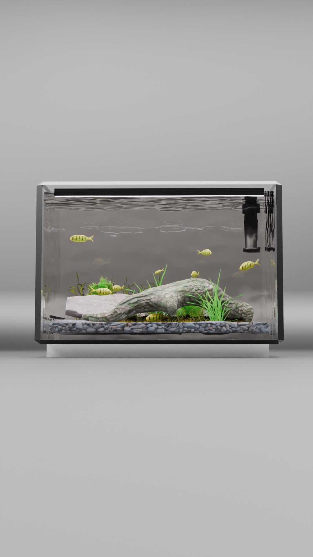 Fish tank free VR / AR / low-poly 3D model animated | CGTrader