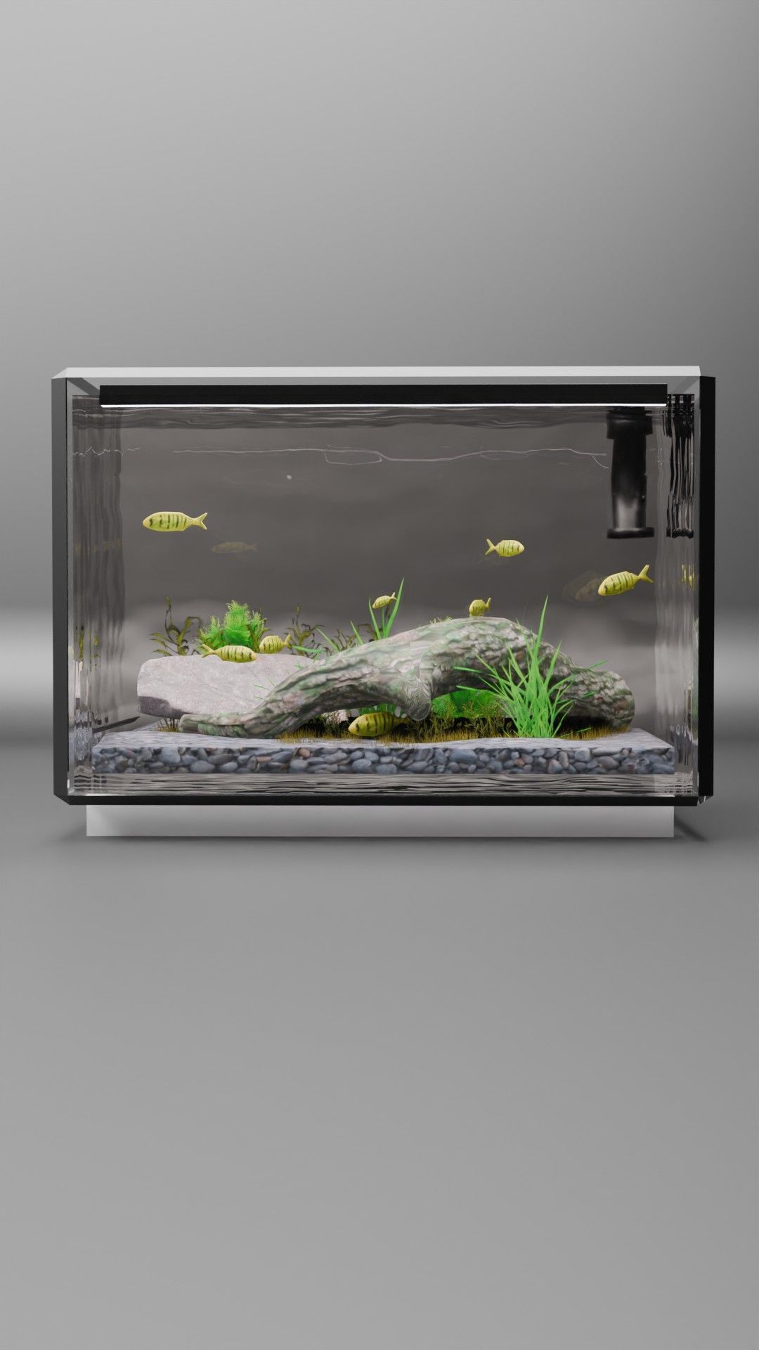 Fish tank free VR / AR / low-poly 3D model animated | CGTrader
