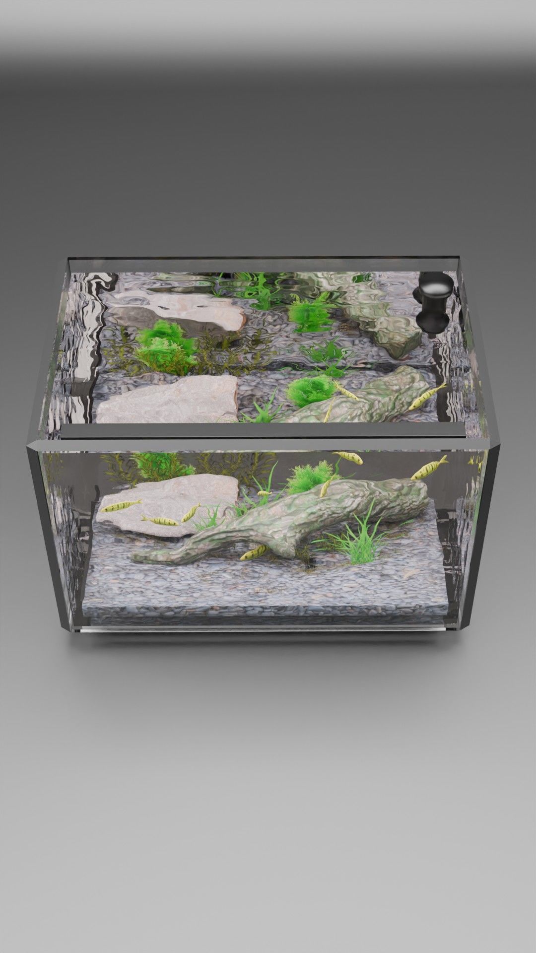 Fish tank free VR / AR / low-poly 3D model animated | CGTrader