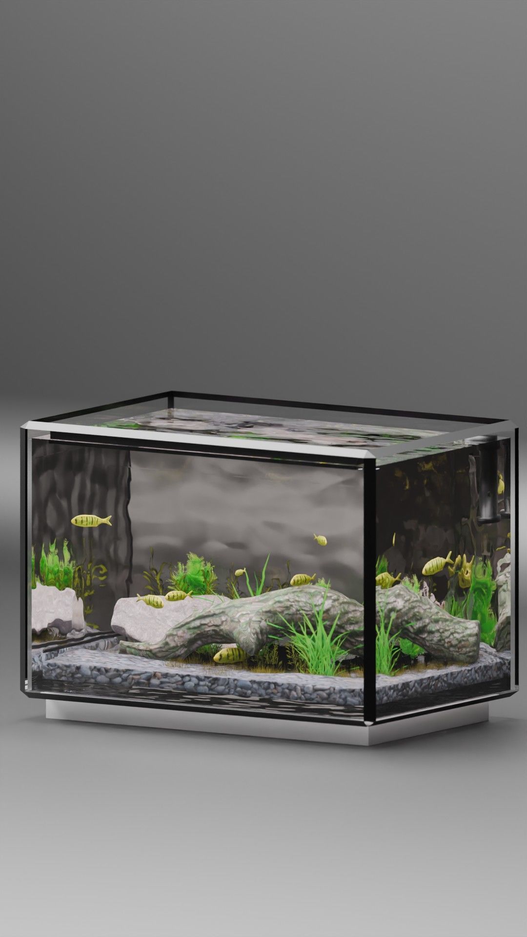 Fish tank free VR / AR / low-poly 3D model animated | CGTrader
