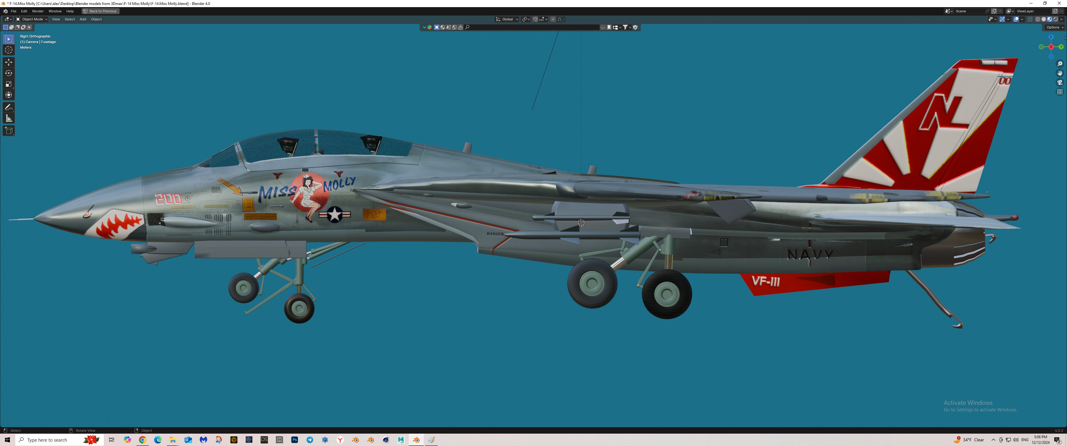 F-14 Miss Molly free 3D model | CGTrader