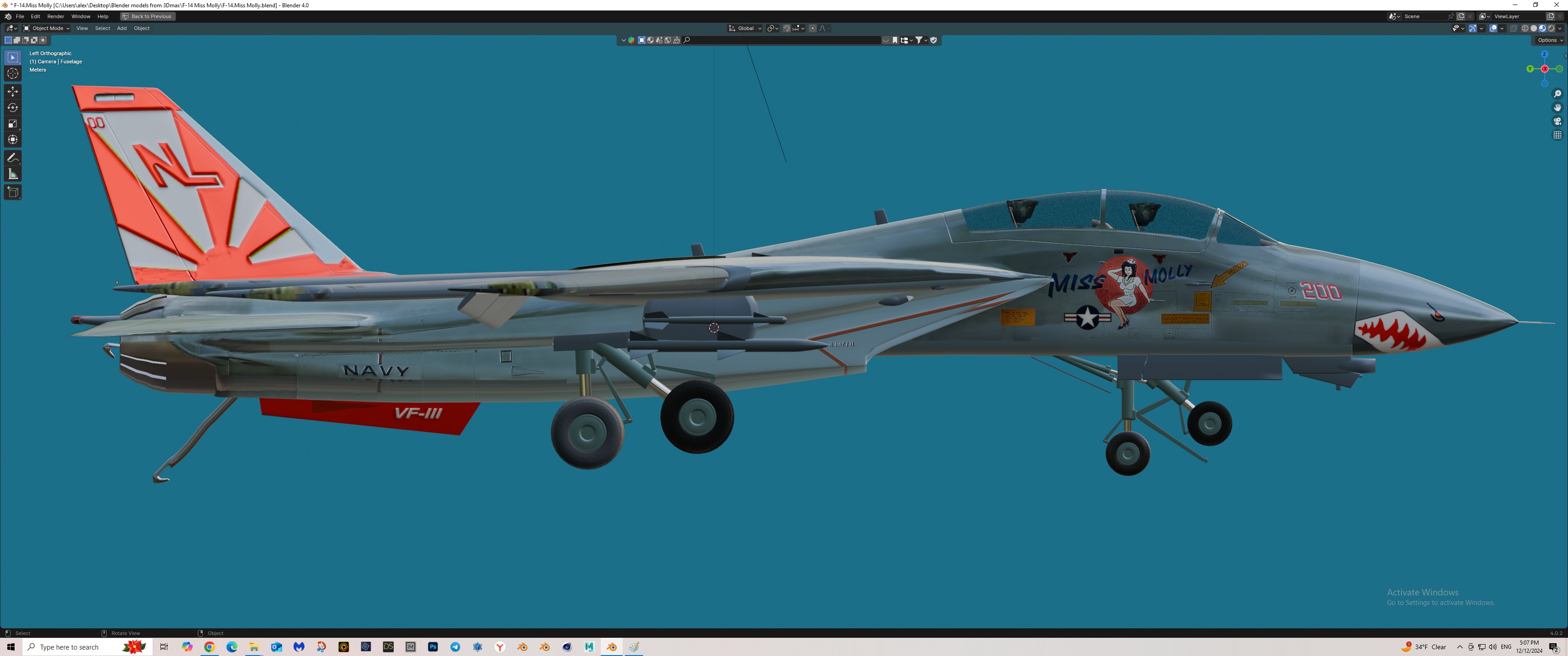 F-14 Miss Molly free 3D model | CGTrader