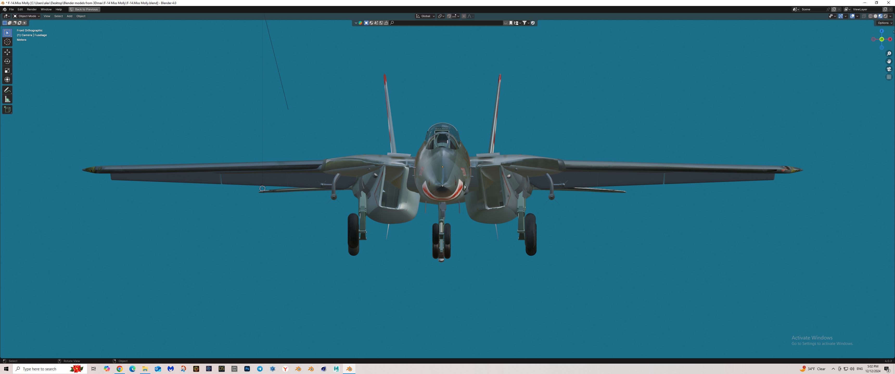 F-14 Miss Molly free 3D model | CGTrader