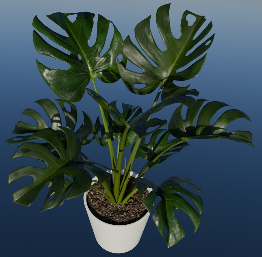 4K High Polly Pot Plants Pack 3D model | CGTrader