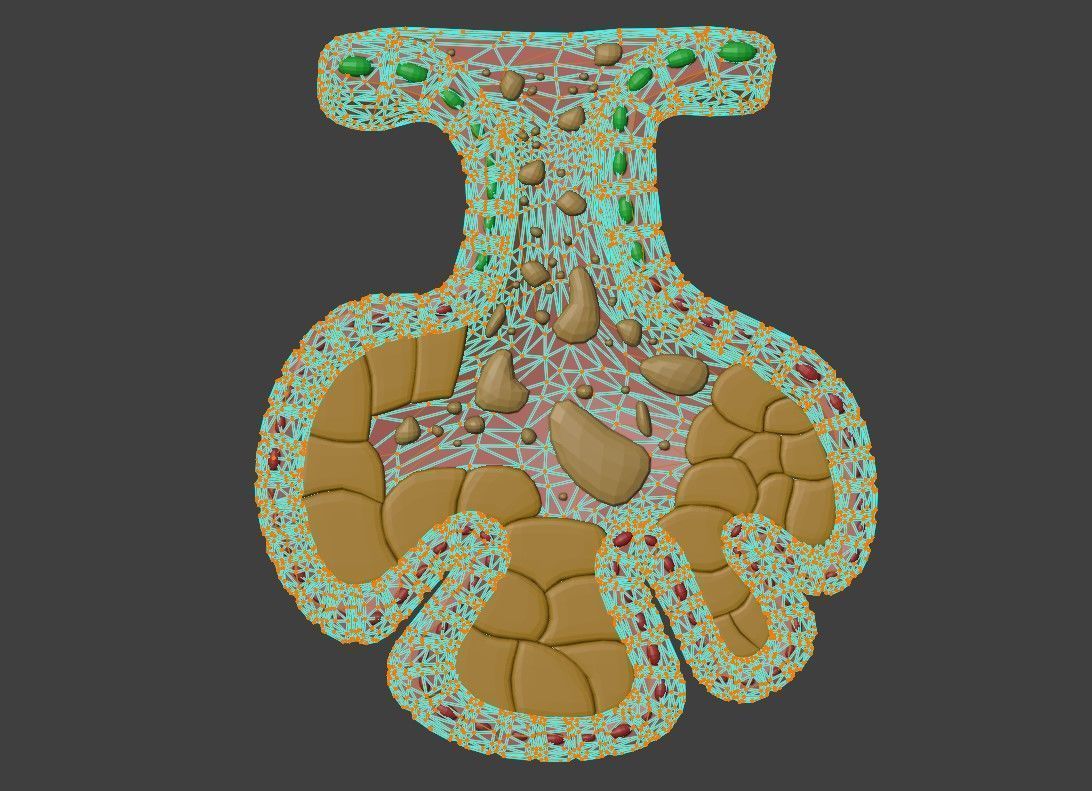 3D Model of Sebaceous Gland 3D model | CGTrader