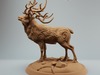 Ancient Rune Deer Fantasy Stag - Pre supported 3D model 3D printable ...