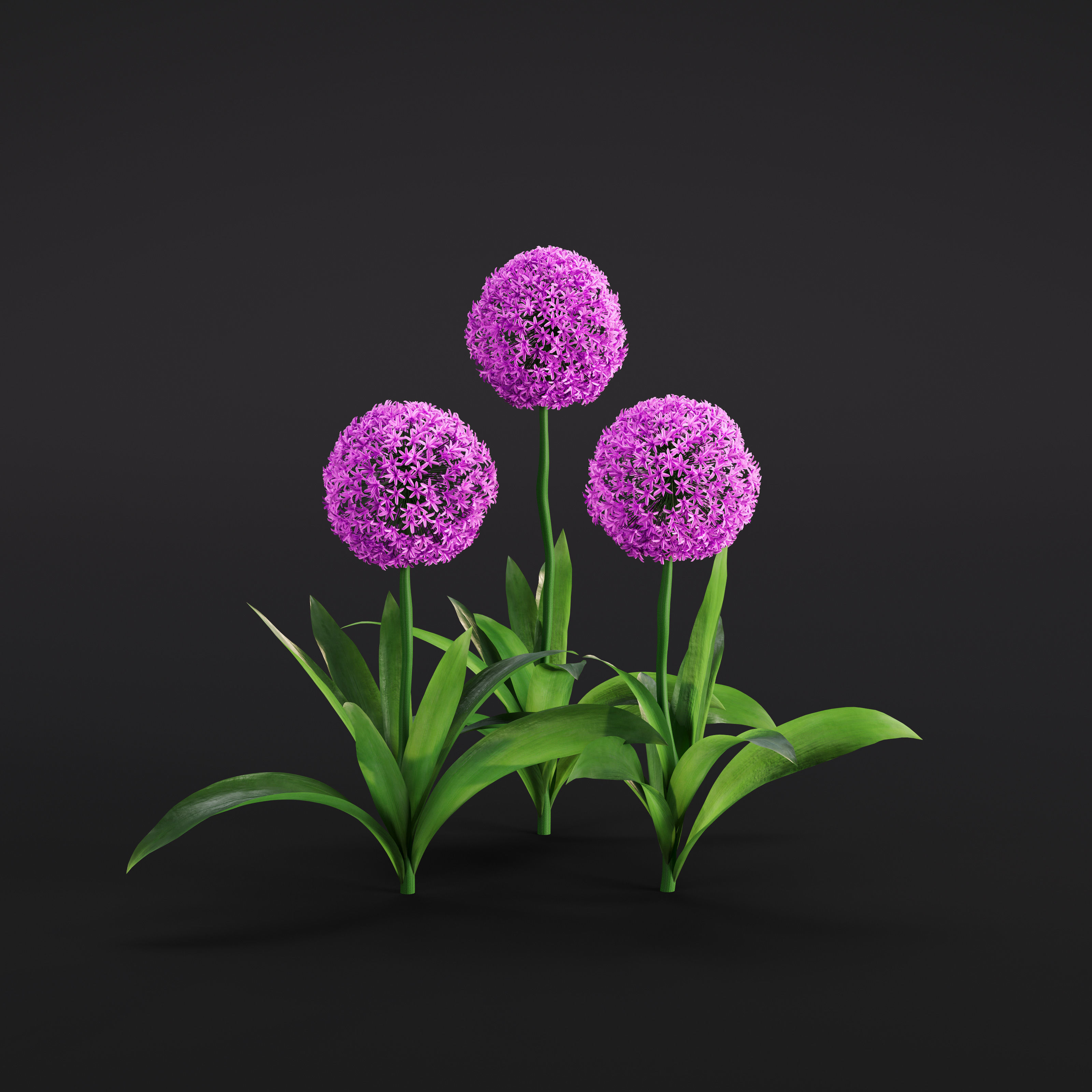 Archmodels vol 286 - collection of garden plants 3D model | CGTrader