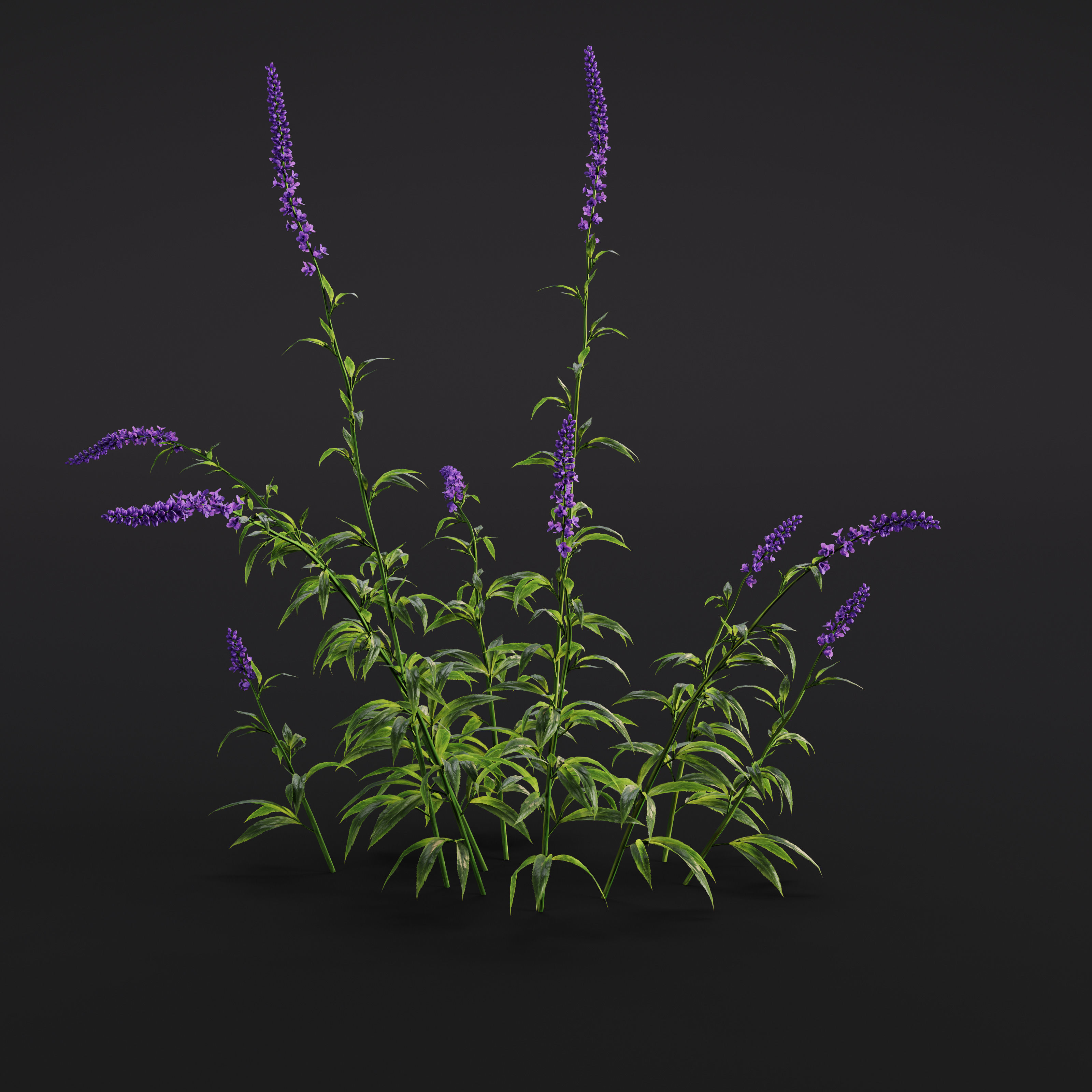 Archmodels vol 286 - collection of garden plants 3D model | CGTrader