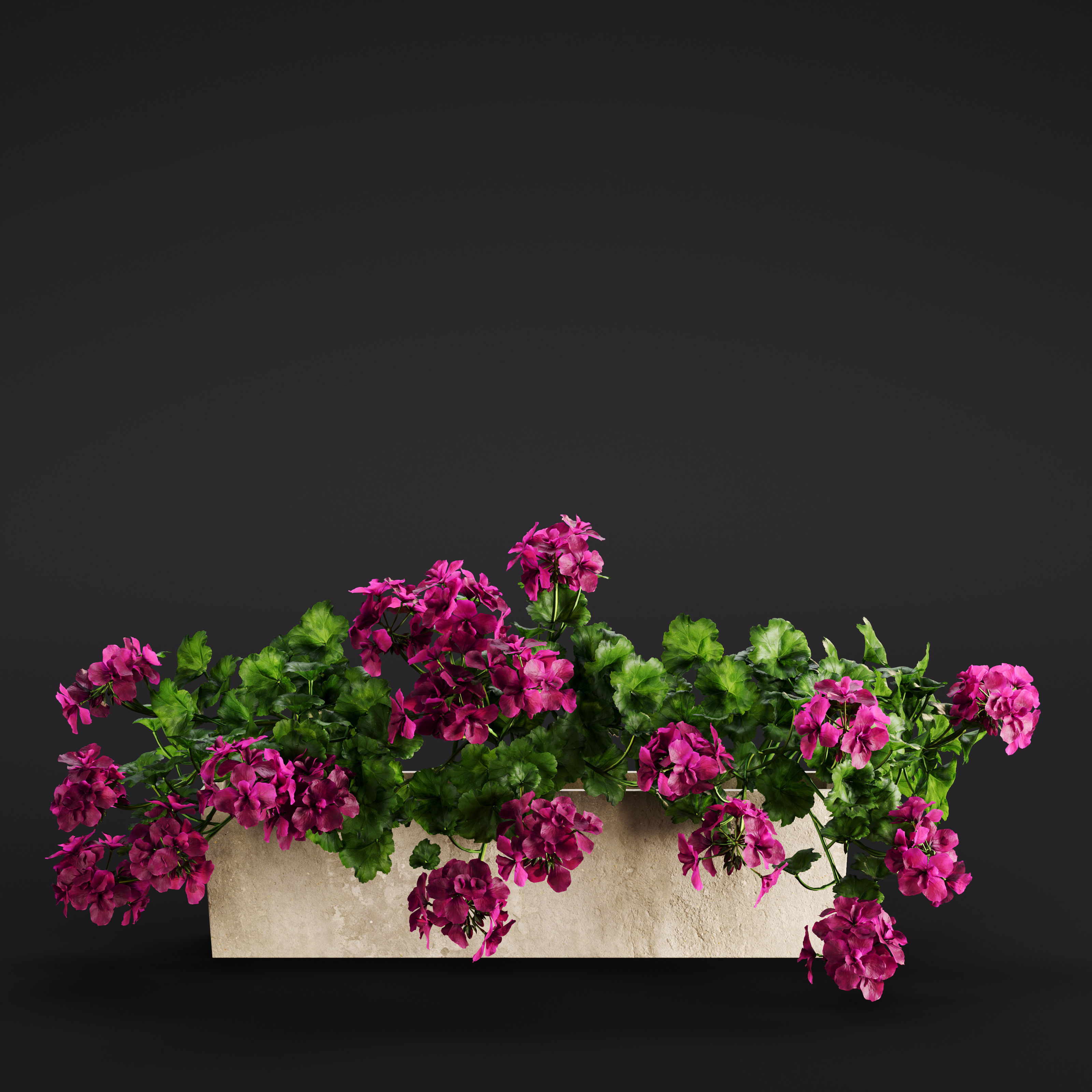Archmodels vol 286 - collection of garden plants 3D model | CGTrader