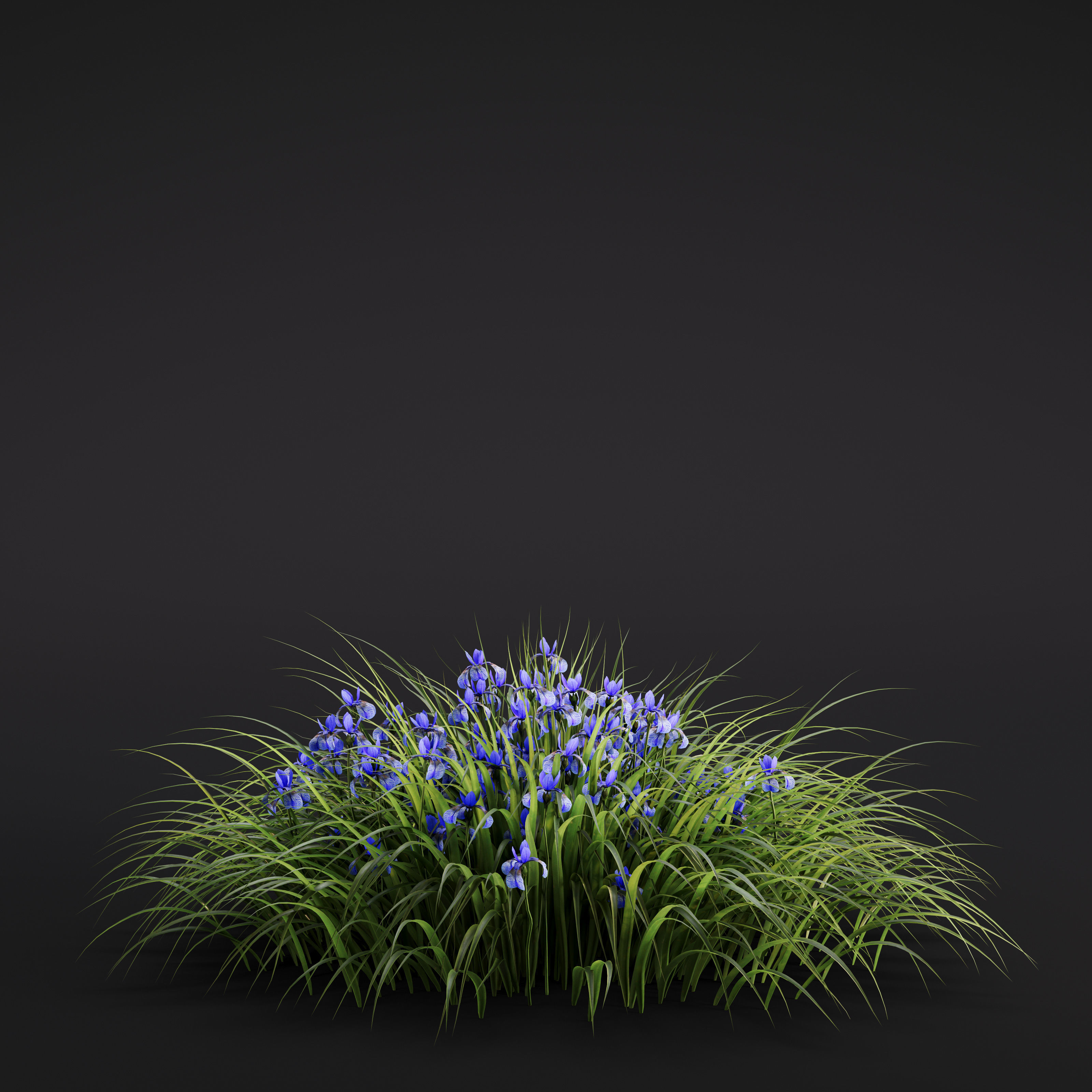 Archmodels vol 286 - collection of garden plants 3D model | CGTrader