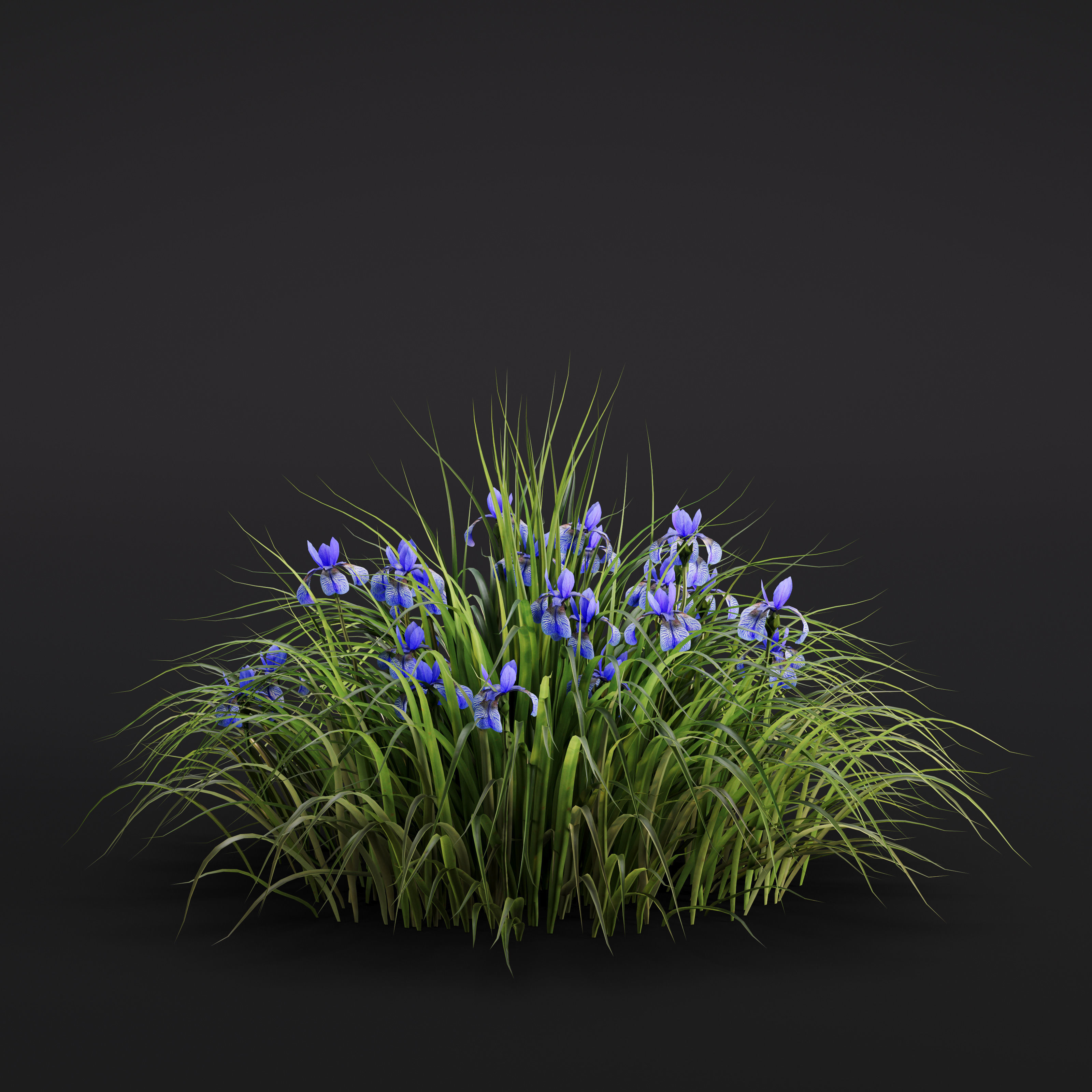 Archmodels vol 286 - collection of garden plants 3D model | CGTrader
