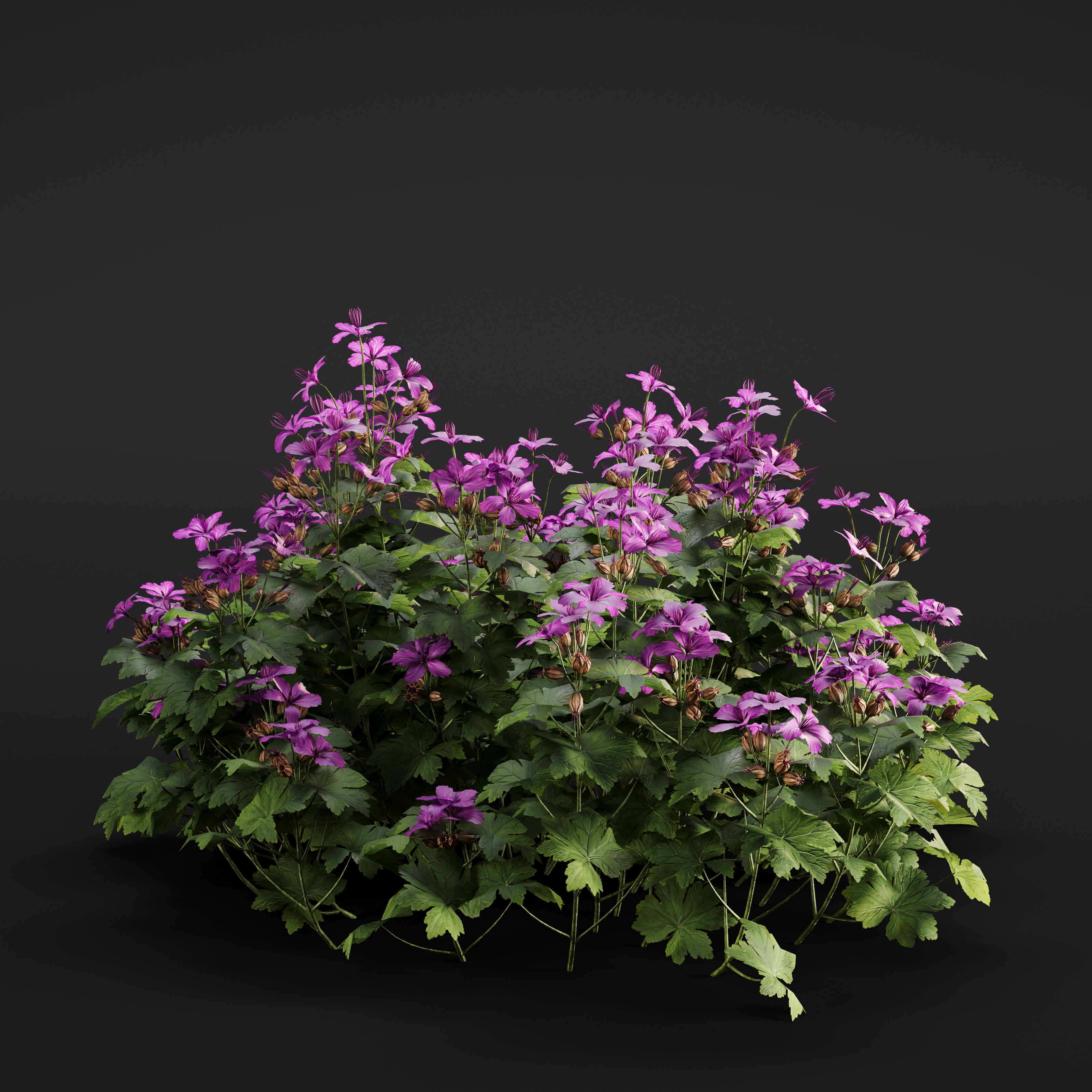 Archmodels vol 286 - collection of garden plants 3D model | CGTrader