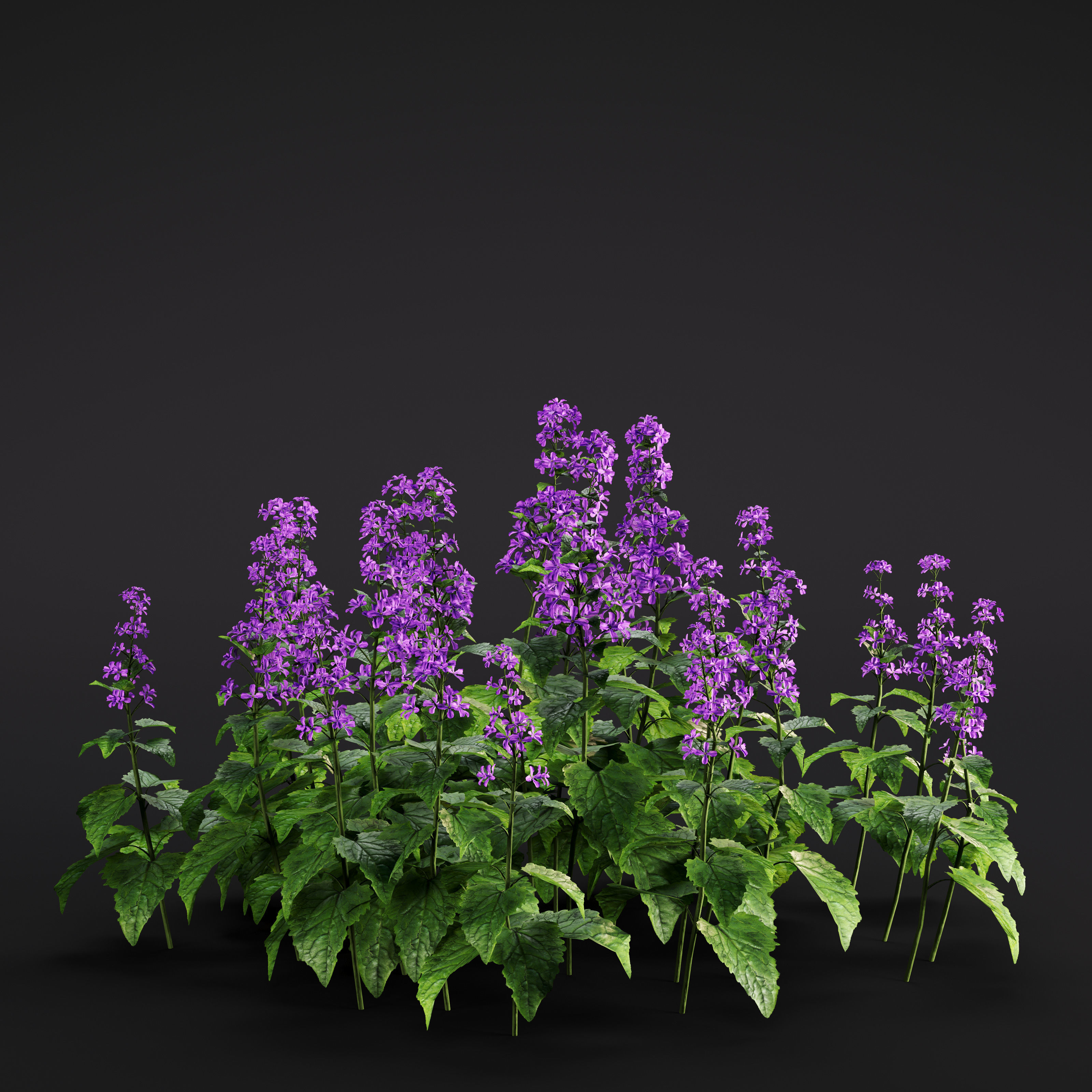 Archmodels vol 286 - collection of garden plants 3D model | CGTrader