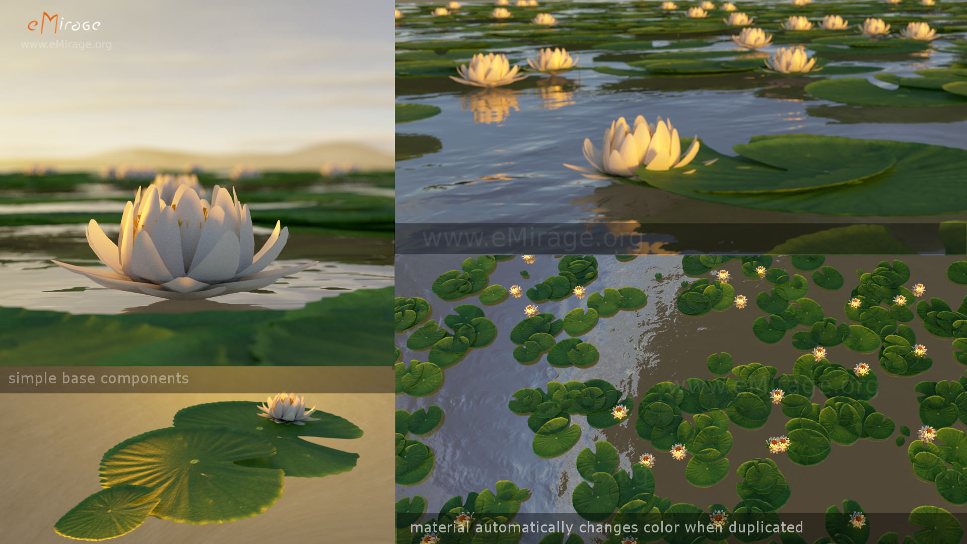 lotus flower free 3D Model .blend - CGTrader.com