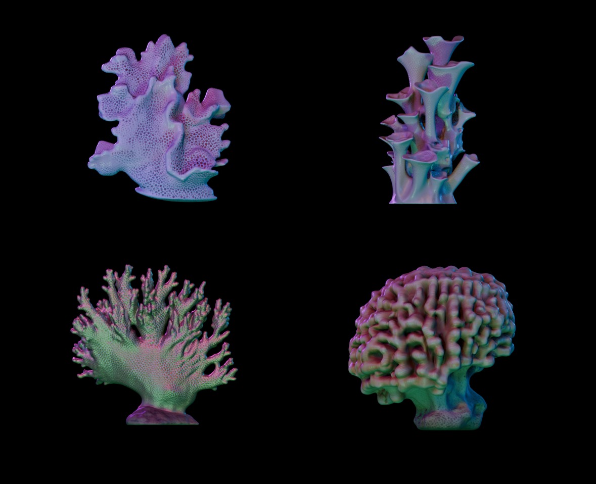 Tropical Coral Pack free VR / AR / low-poly 3D model | CGTrader