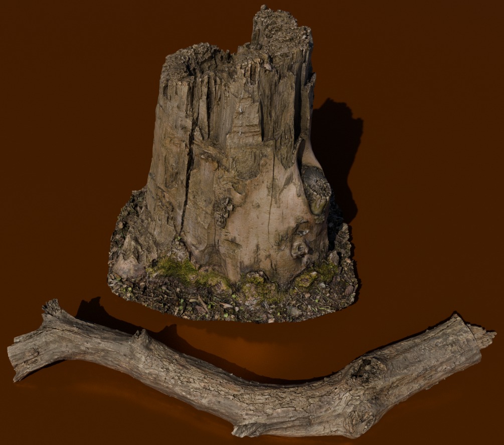 4K High Polly Tree Stump And Branch 3D model | CGTrader