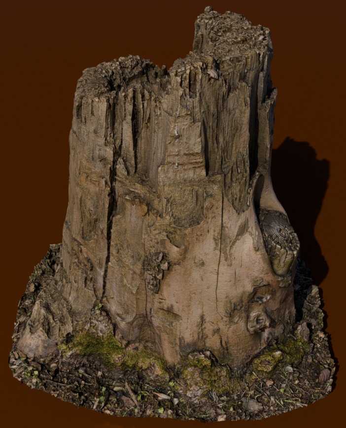 4K High Polly Tree Stump And Branch 3D model | CGTrader
