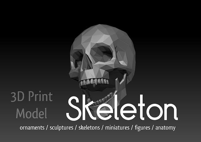 Skeleton free 3D model 3D printable | CGTrader