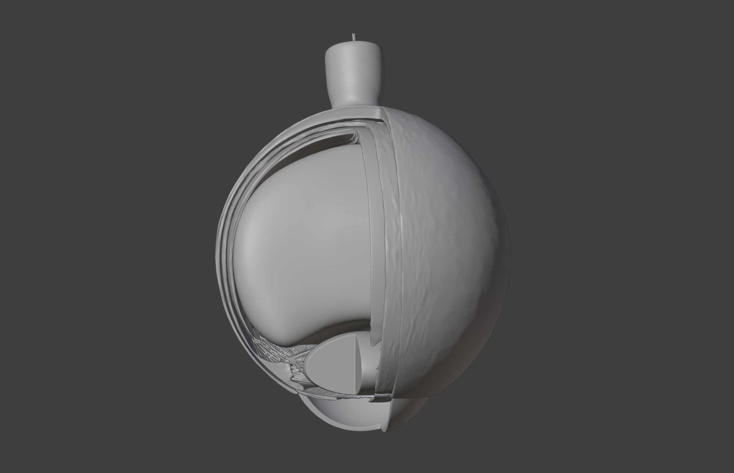 3D Model of Anatomy Inside Human Eye 3D model 3D printable | CGTrader
