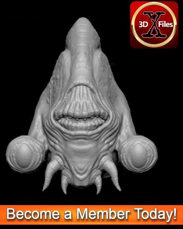 Star wars Jedi Pablo Jill - Head sculpt - Custom Action Figure 3D model ...