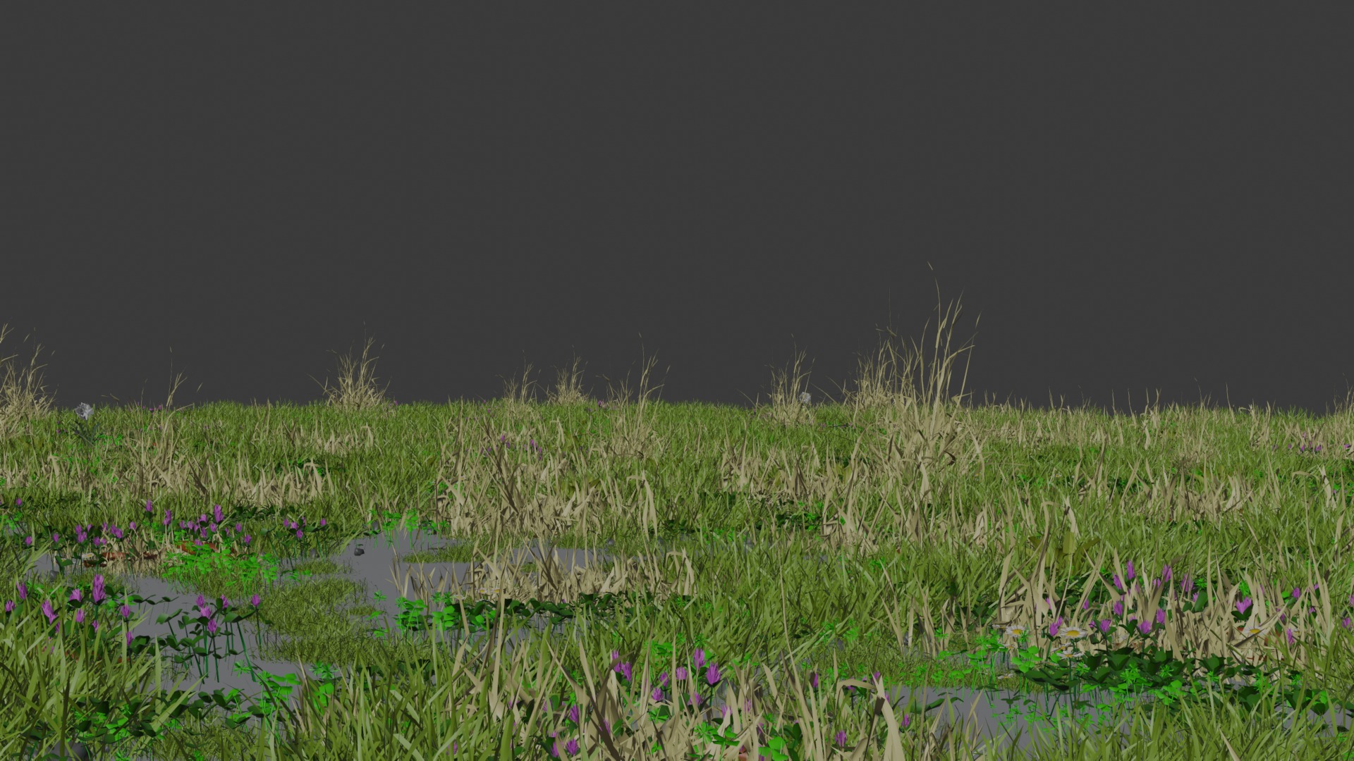 Grass Pack free 3D model | CGTrader