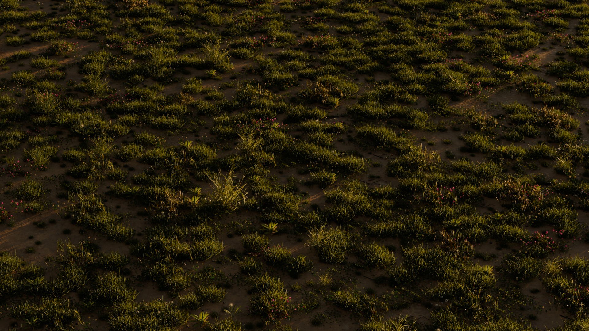 Grass Pack free 3D model | CGTrader