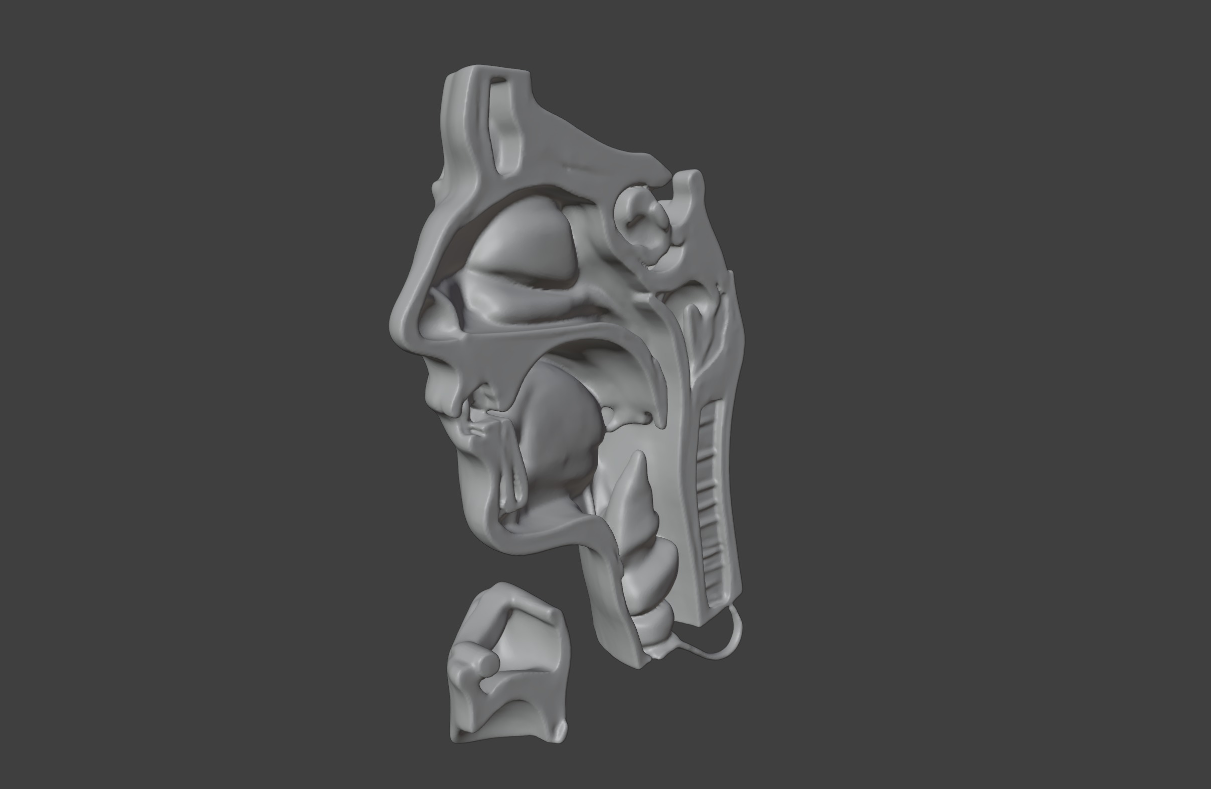 3D Model of Cavities of Nose Mouth and Throat 3D model 3D printable ...