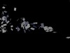 Paper flying animation in Houdini 3D model animated | CGTrader