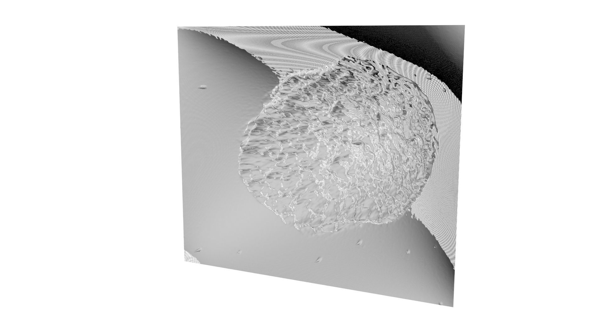 Oyster Nebula 3D model | CGTrader