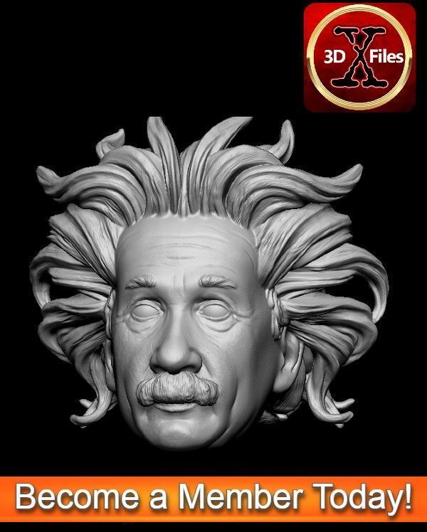 Albert Einstein Head Sculpt - Custom Action Figure head 3D model 3D ...