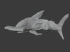 gao hammerhead shark 3D model 3D printable | CGTrader