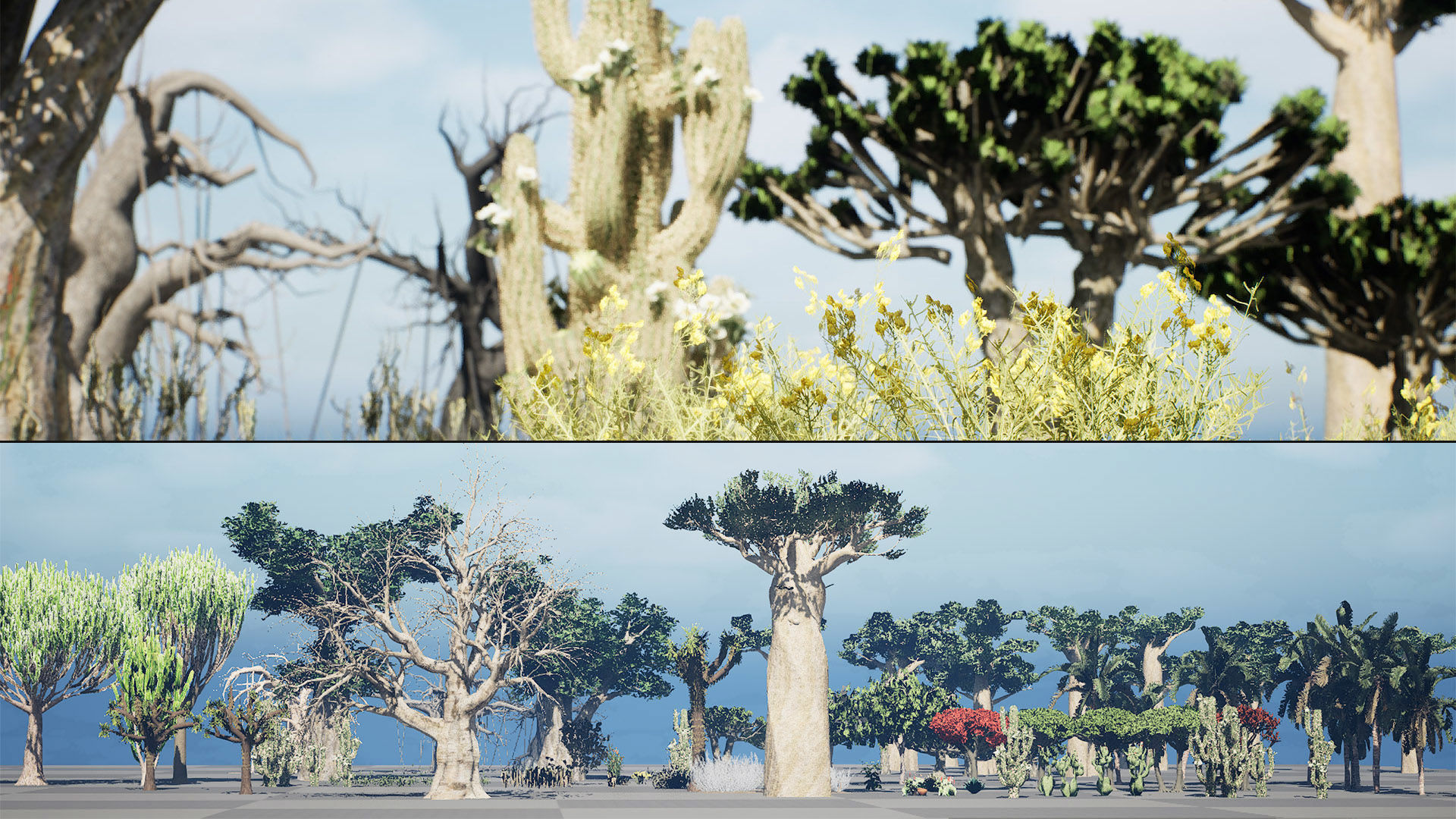 3D model Desert Plants 3D Pack VR / AR / low-poly | CGTrader