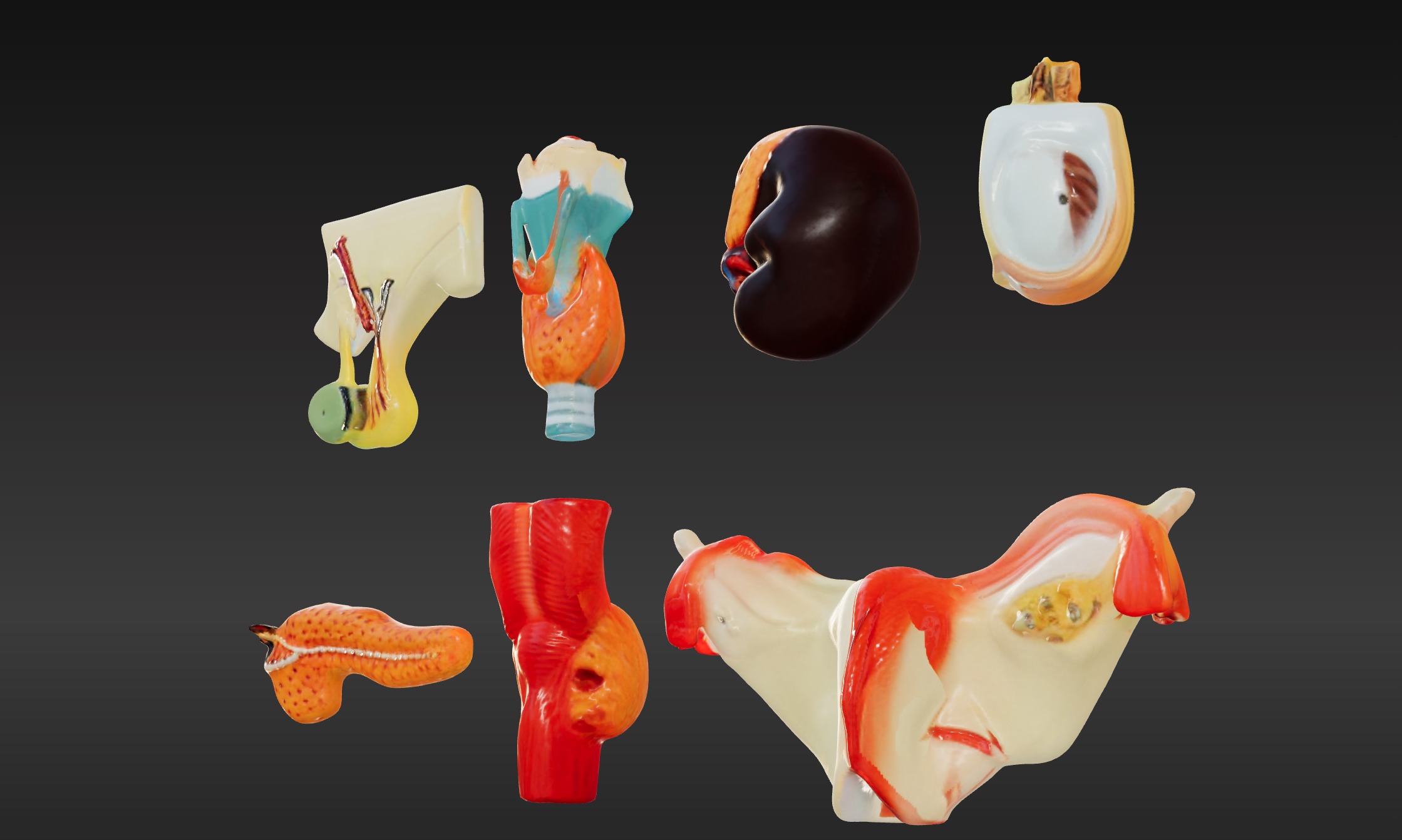 3D Complete Endocrine Gland Set Anatomy Model 3D model 3D printable ...