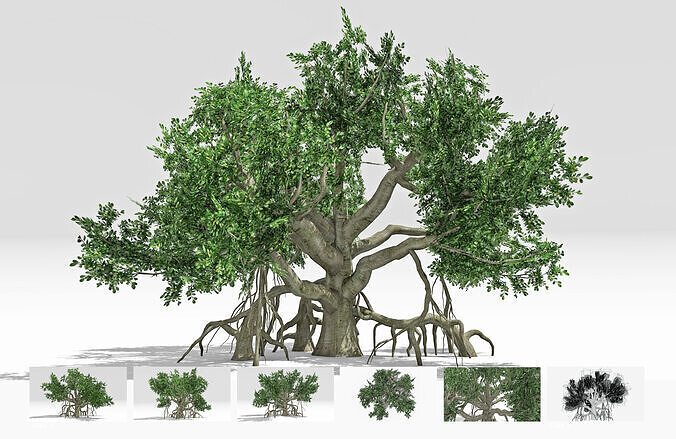3D model Chinese Banyan Tree-S6 VR / AR / low-poly | CGTrader