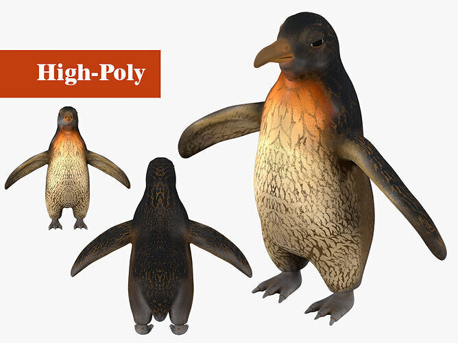 penguin rig high-poly textured 3D model rigged | CGTrader