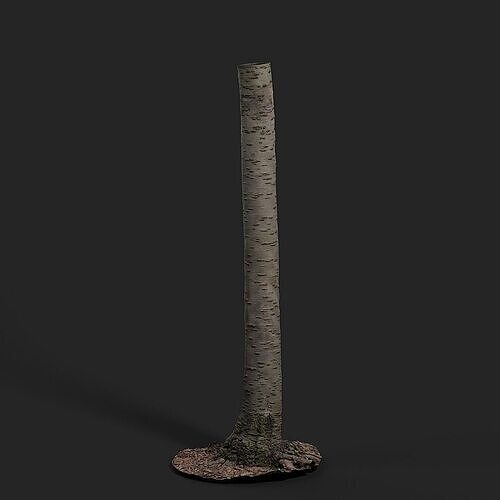 Cherry Tree 001 3D model | CGTrader