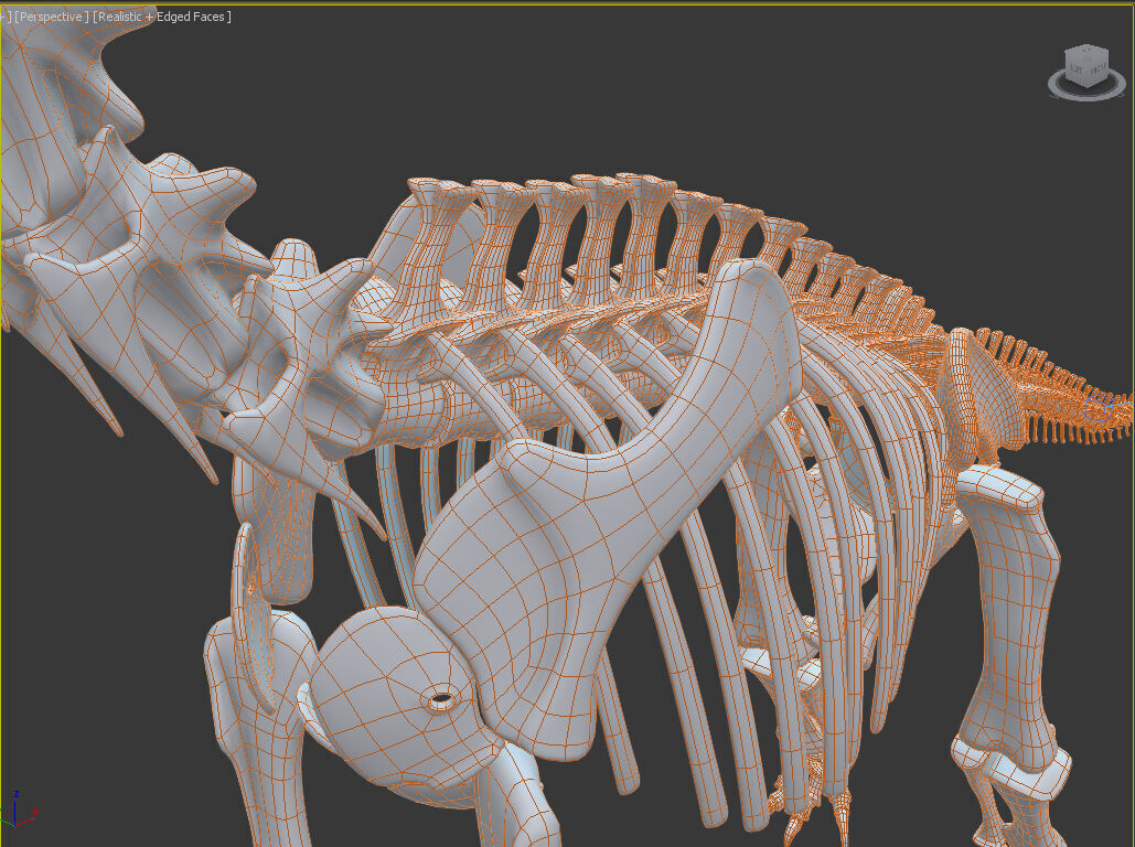 3D model Brachiosaurus Skeleton 3D model VR / AR / low-poly | CGTrader
