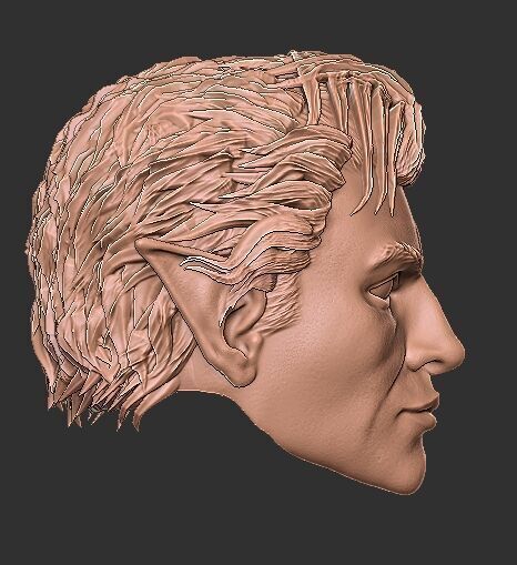 Baldurs Gate Astarion Head 3D model 3D printable | CGTrader