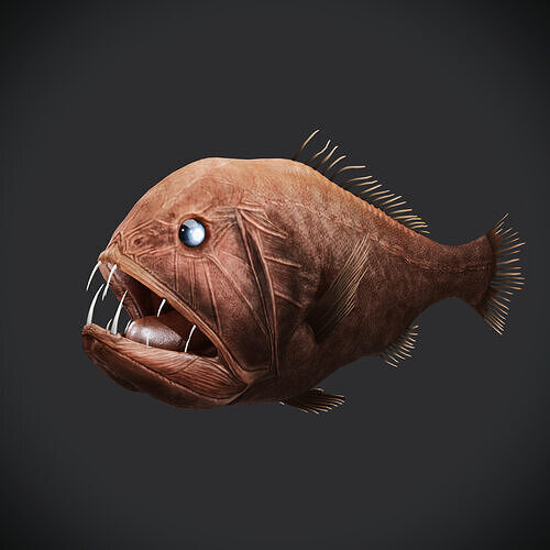 3D model Fangtooth Fish 3D VR / AR / low-poly | CGTrader