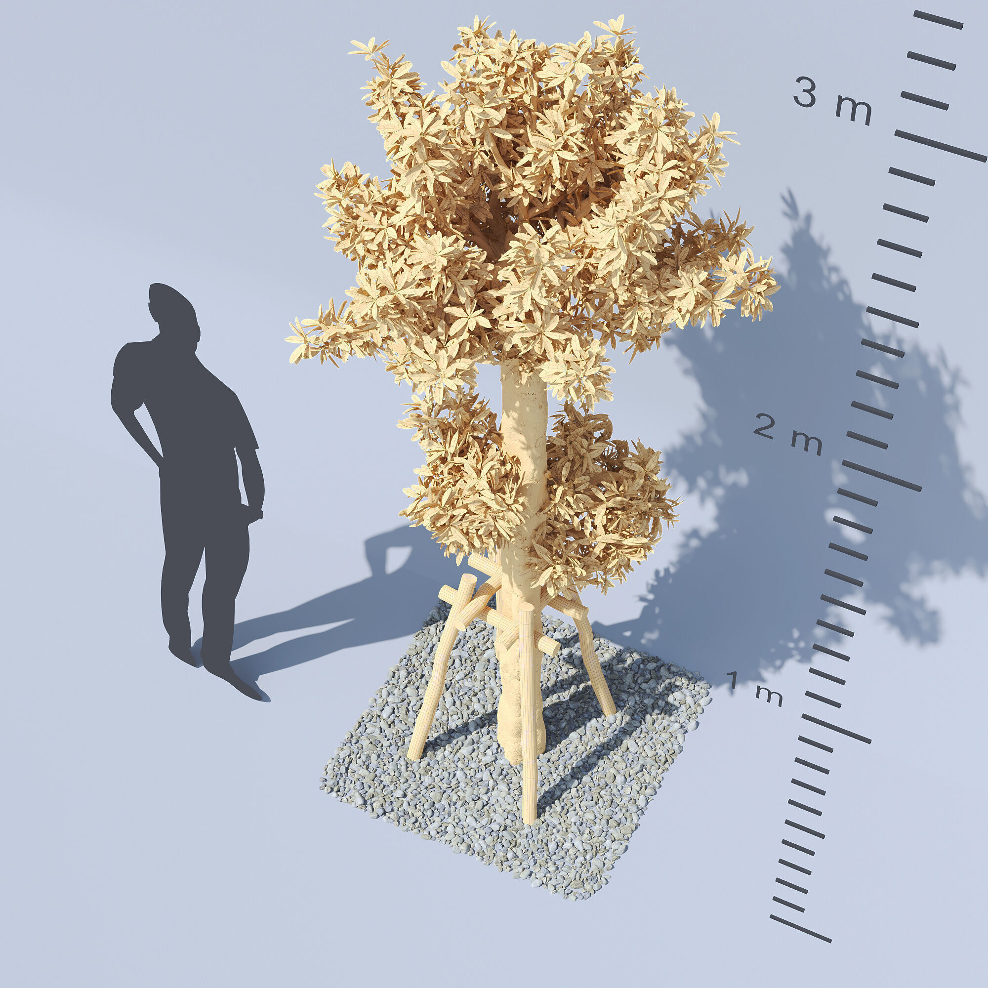 Pohon Pulai 3D Model - Alstonia scholaris - SKP MAX VRAY CORONA 3D ...