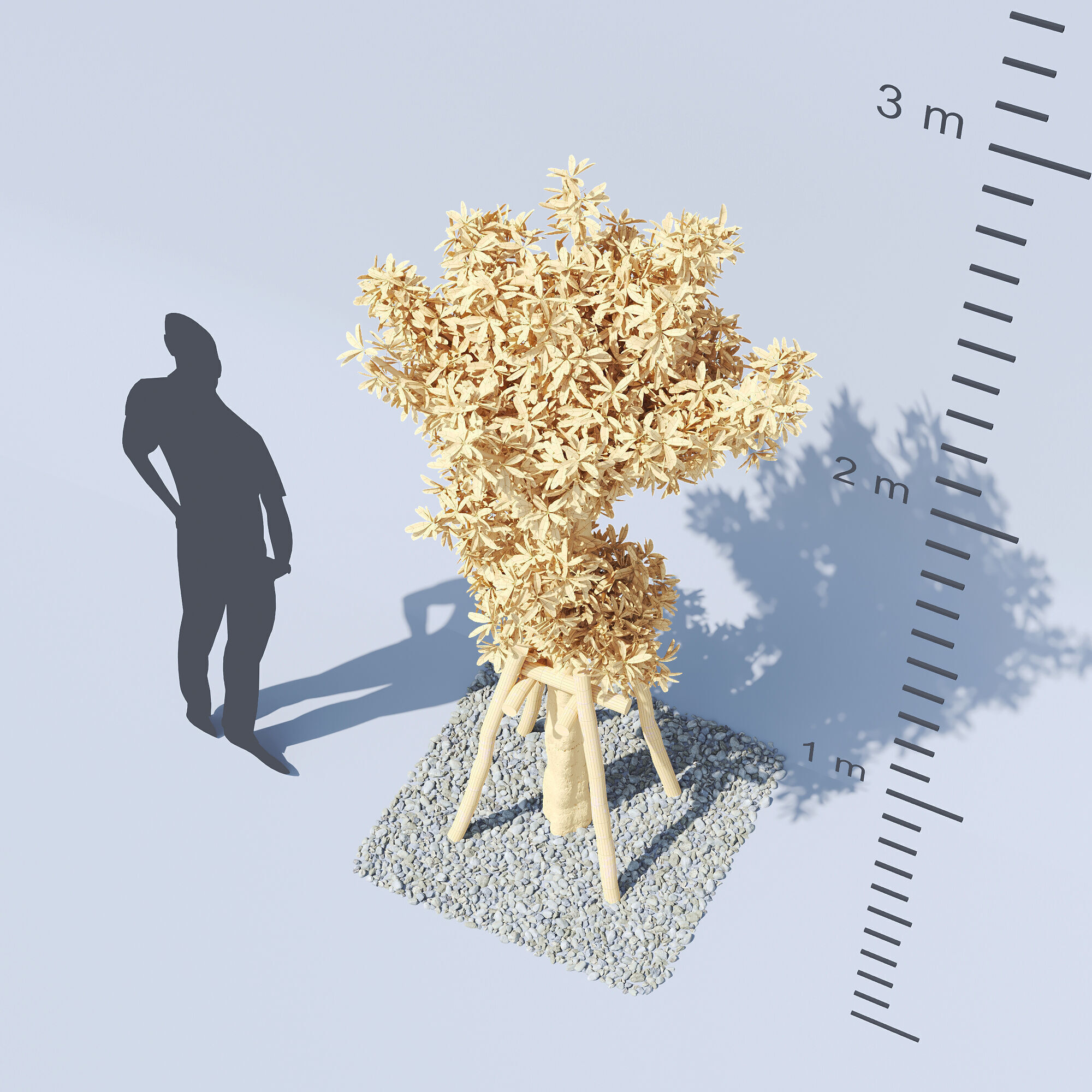 Pohon Pulai 3D Model - Alstonia scholaris - SKP MAX VRAY CORONA 3D ...