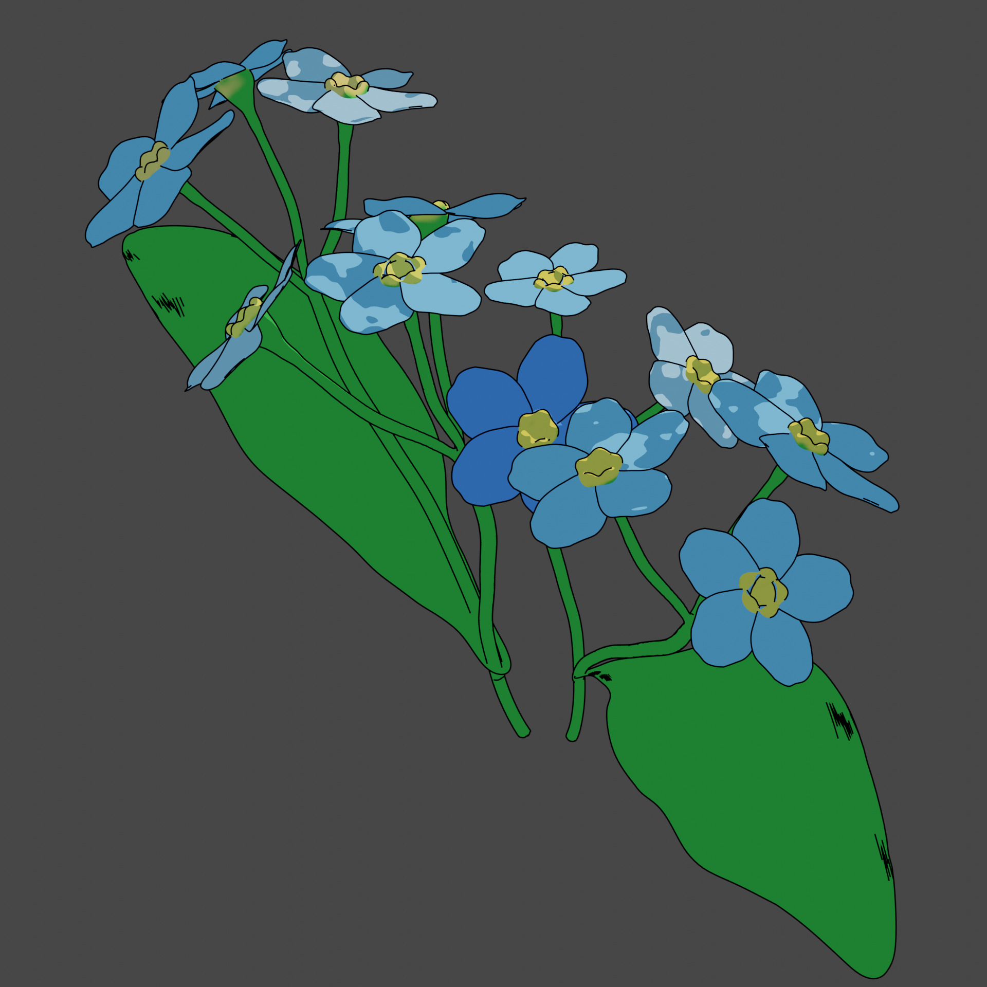 Anime stylised Forget-me-not flower free 3D model | CGTrader