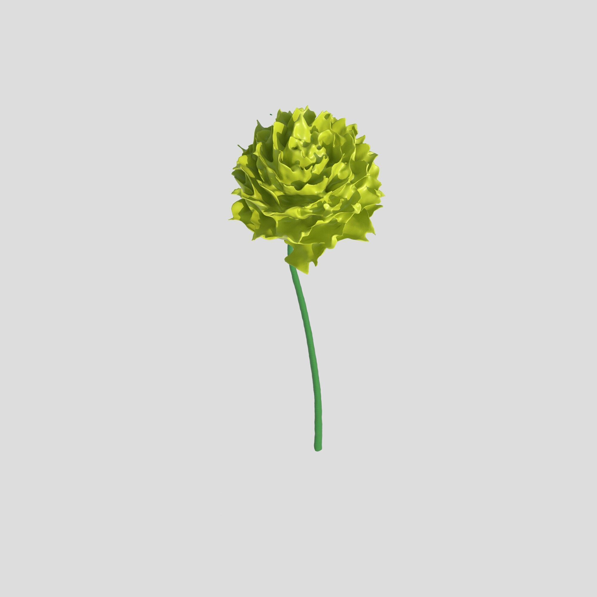 Flower free 3D model | CGTrader